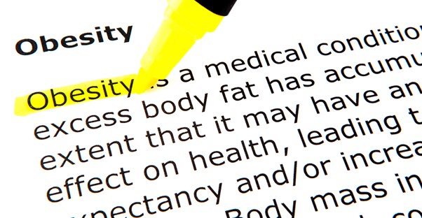 Understanding Obesity