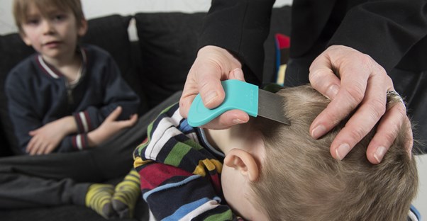 Head Lice and Your Child: 5 Things You Need to Know